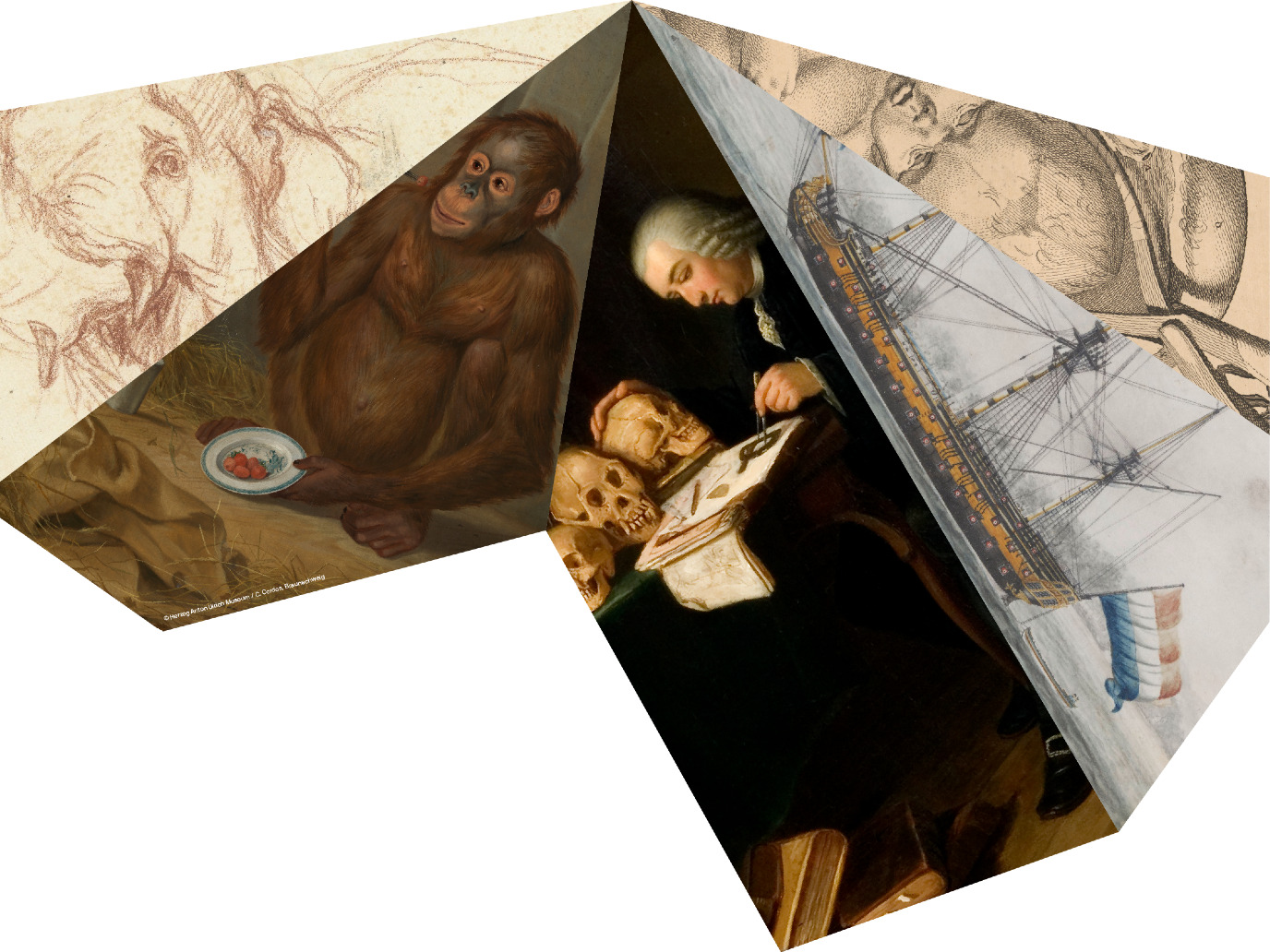 Colonial Collections | » Tentoonstelling: Verstrengelde Verhalen – Wetenschap en Kolonialisme in ...